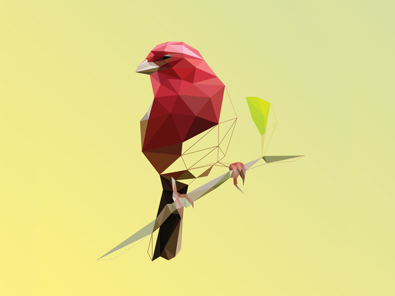 Low poly artworks, logos and illustrations by Breno Bitencourt - Ego ...