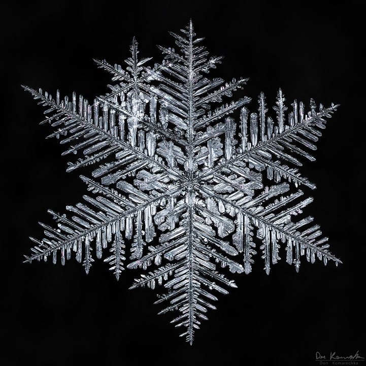 Stunning photos of complex snowflakes by Don Komarechka - Ego - AlterEgo