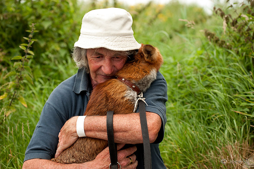 Patsy Gibbons, fantastic Mr. Fox - Ego - AlterEgo