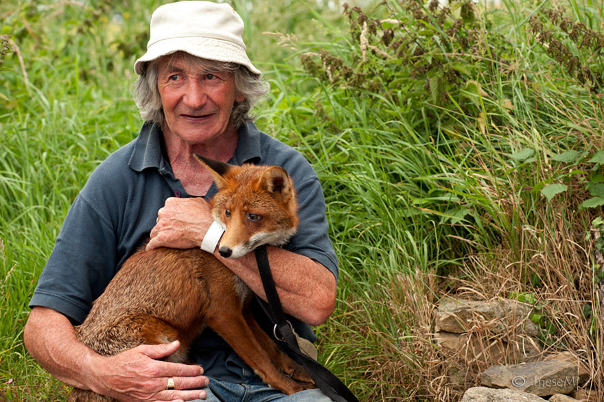 Patsy Gibbons, fantastic Mr. Fox - Ego - AlterEgo