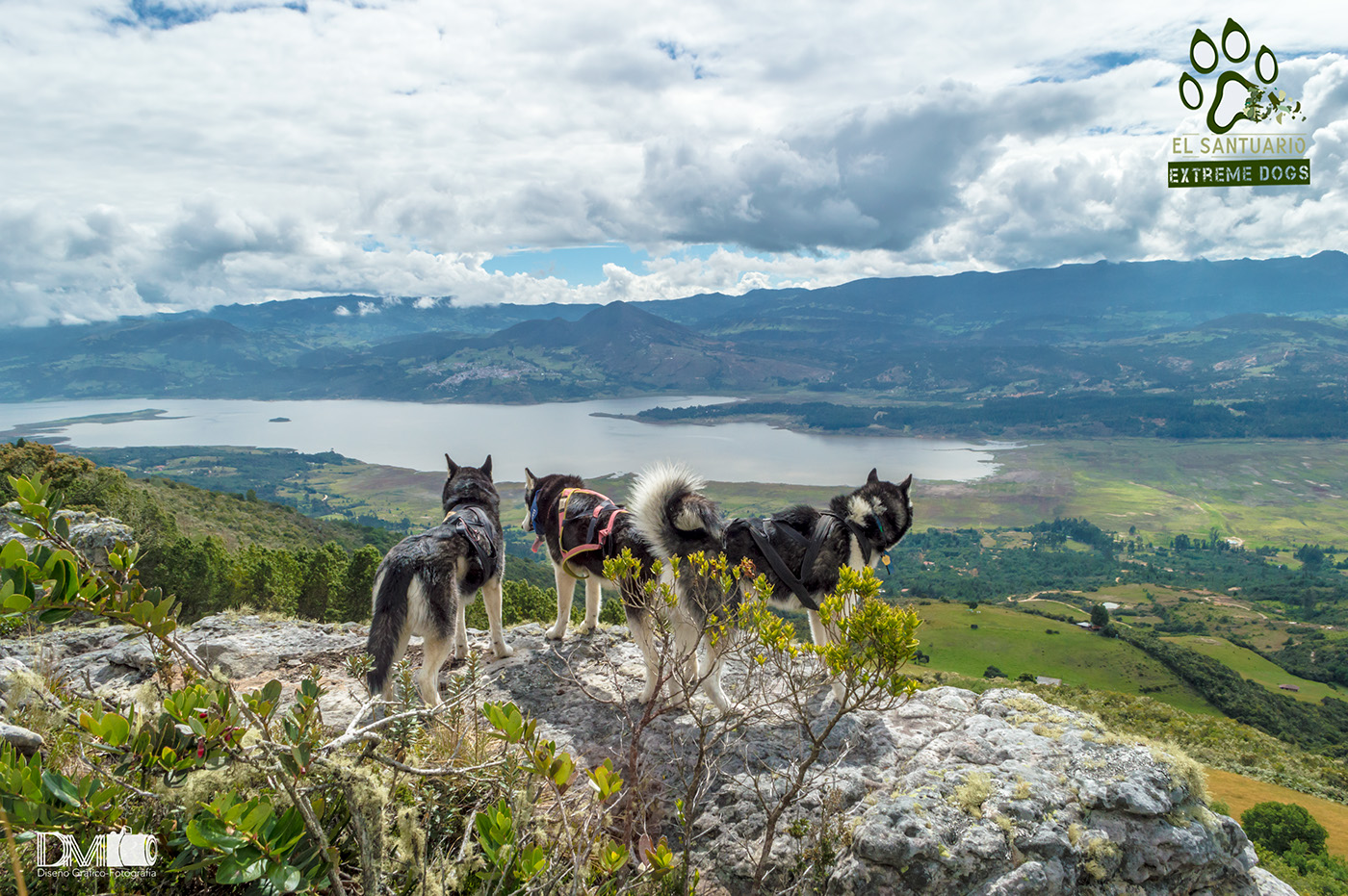 Dog Adventure, photography by Danilo Muñoz Ferrer - Ego - AlterEgo
