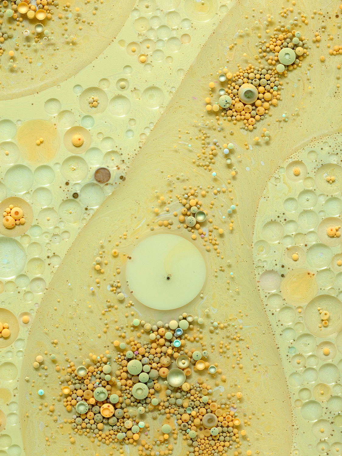 Chromatics, photography by Marcel Christ - Ego - AlterEgo