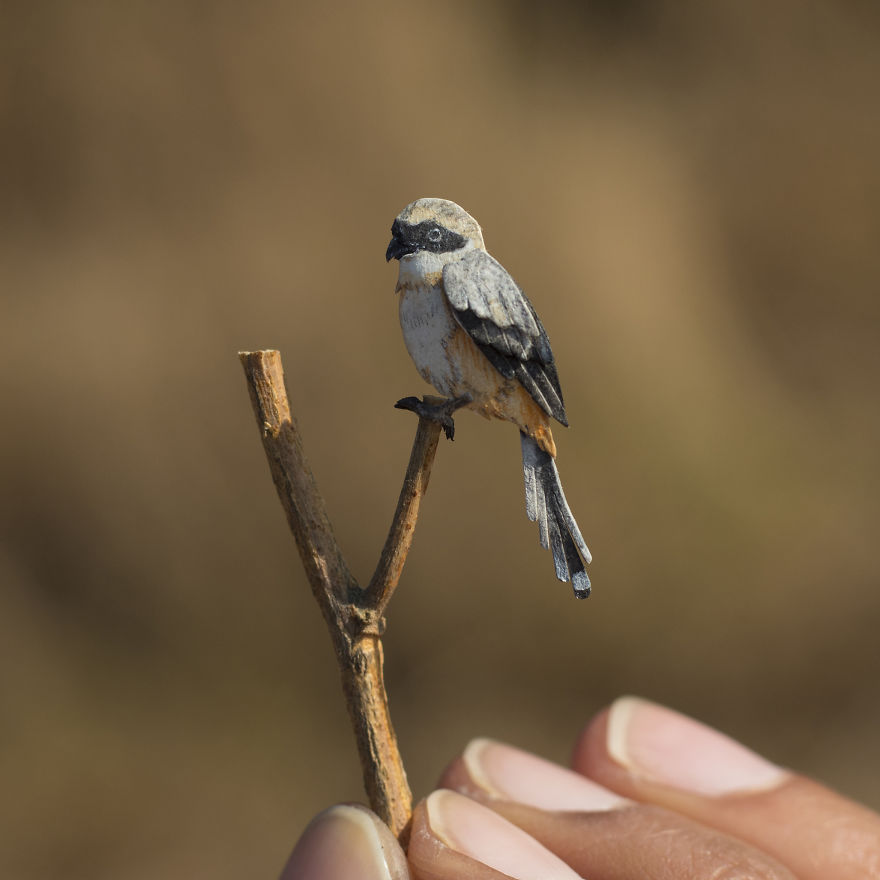 Miniature birds, paper art by Nayan & Vaishali - Ego - AlterEgo