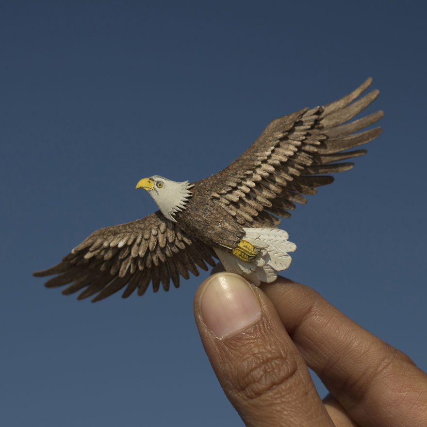 Miniature birds, paper art by Nayan & Vaishali - Ego - AlterEgo