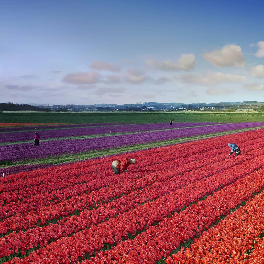 Gorgeous landscapes by Stephen Wilkes - Ego - AlterEgo