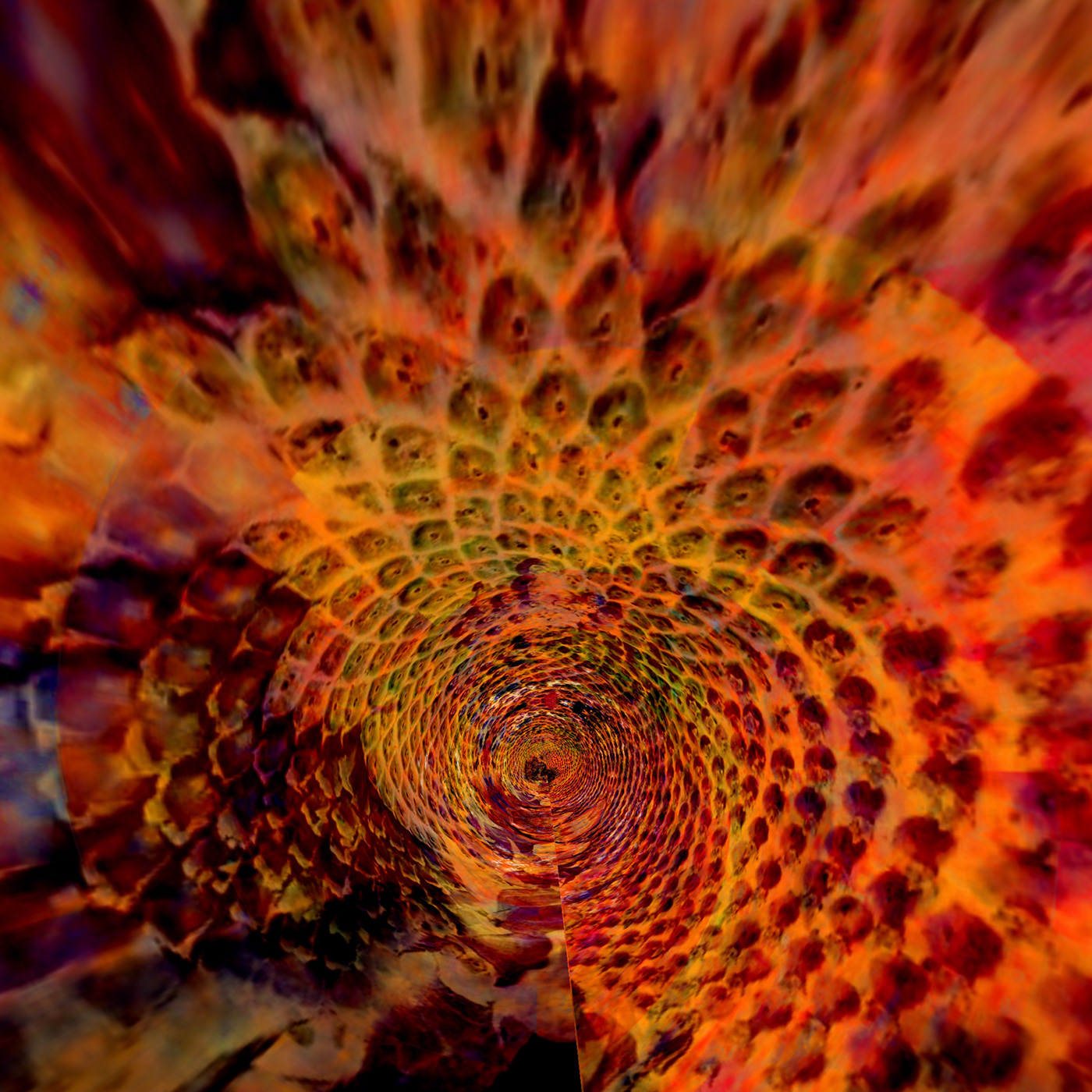 Fibonacci Spiral, digital art by Annette Emannuel - Ego - AlterEgo