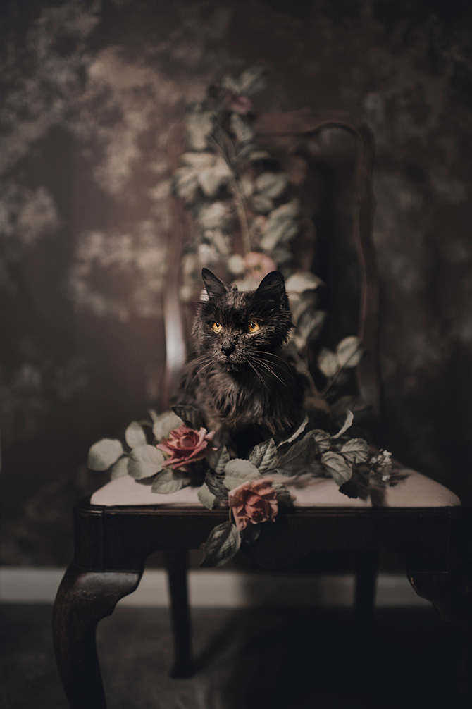 Exquisite atmospheric photography by Rachel Bellinsky - Ego - AlterEgo