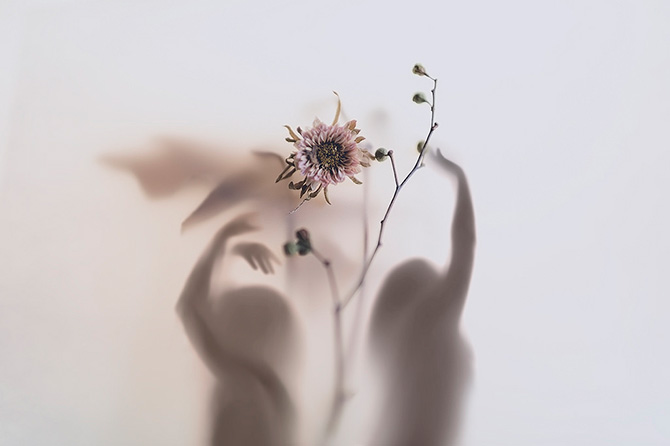 Exquisite atmospheric photography by Rachel Bellinsky - Ego - AlterEgo