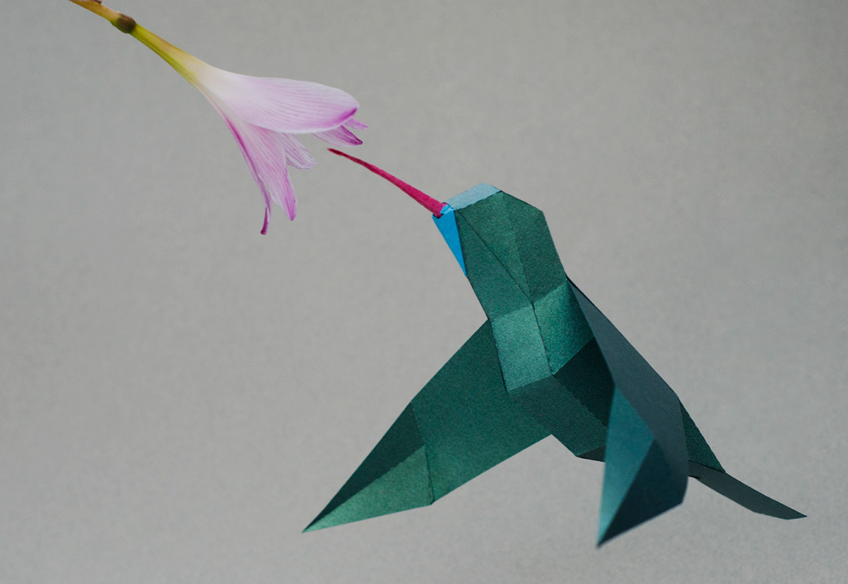 Paper birds, paper art by Estudio Guardabosques - Ego - AlterEgo