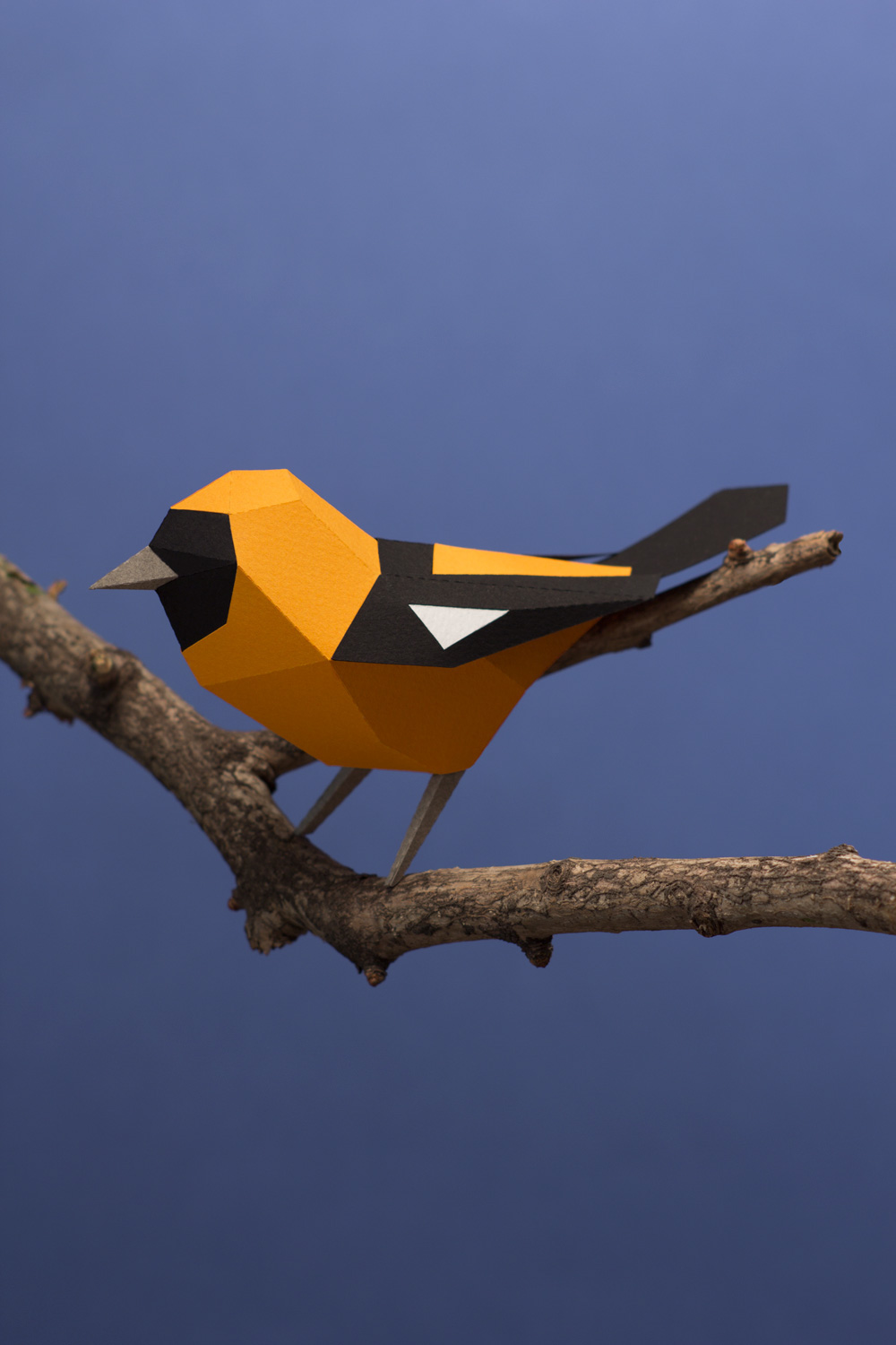 Paper birds, paper art by Estudio Guardabosques - Ego - AlterEgo