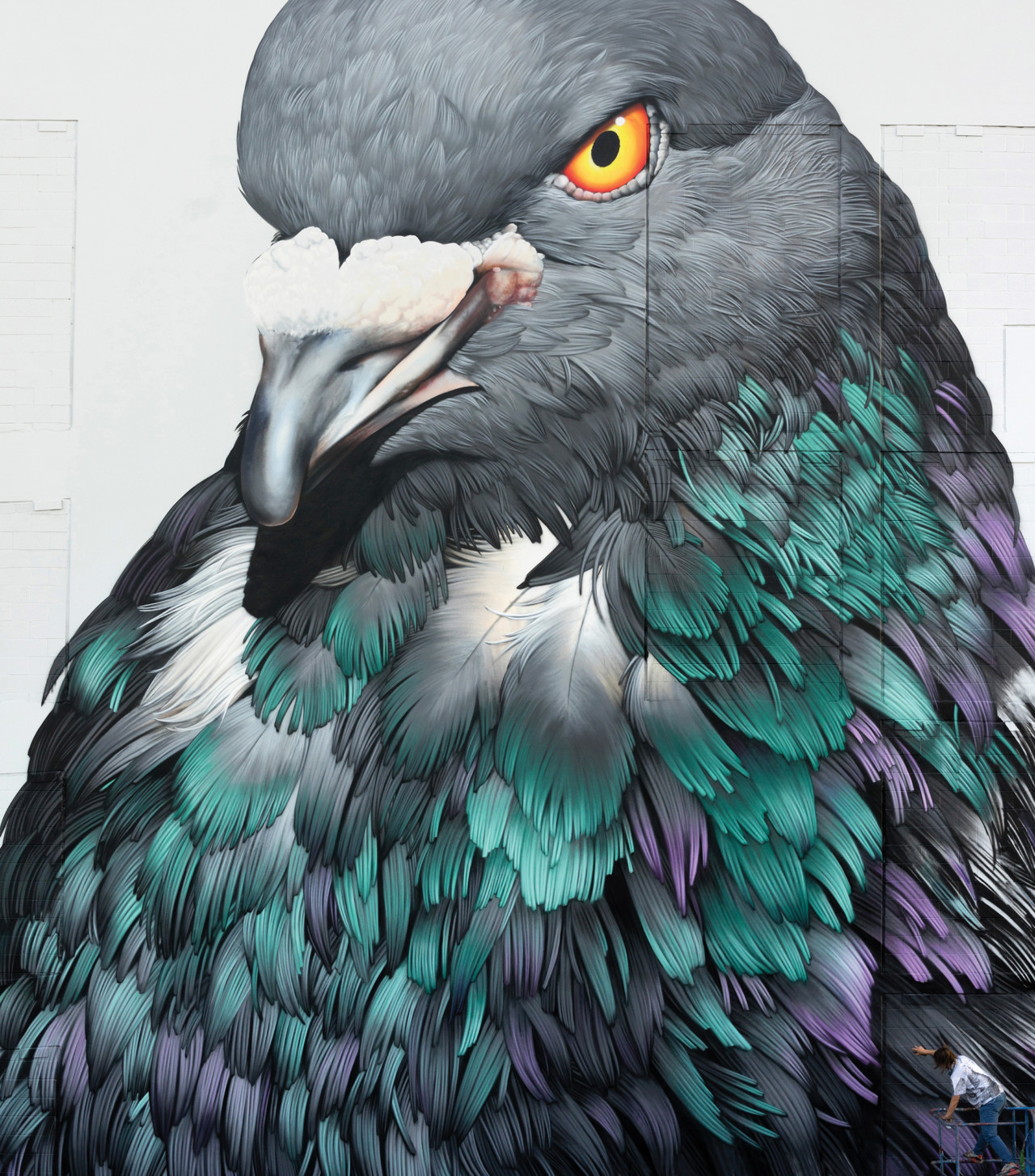 Adele Renault, Large-scale paintings of pigeons - Ego - AlterEgo