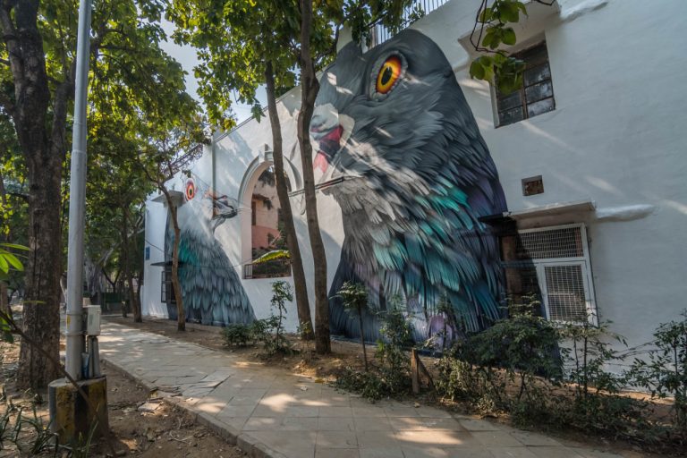 Adele Renault, Large-scale paintings of pigeons - Ego - AlterEgo
