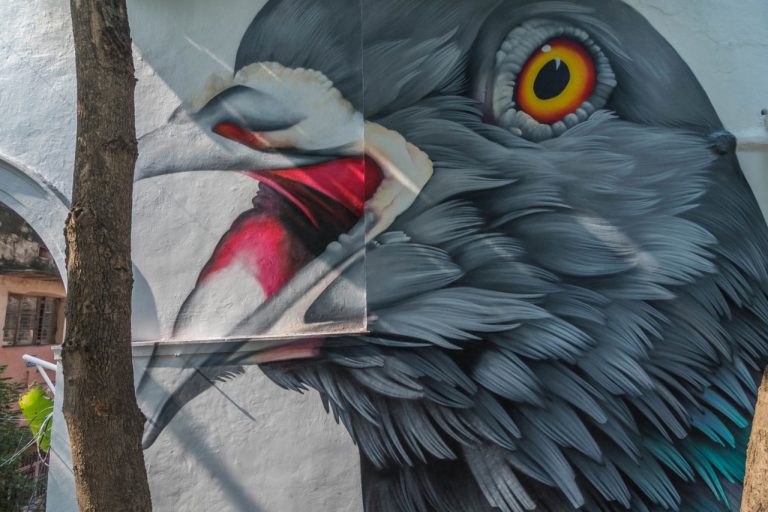 Adele Renault, Large-scale paintings of pigeons - Ego - AlterEgo