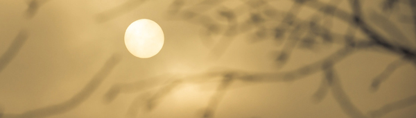 Sun behind the fog, photography by Michał Skarbiński - Ego - AlterEgo
